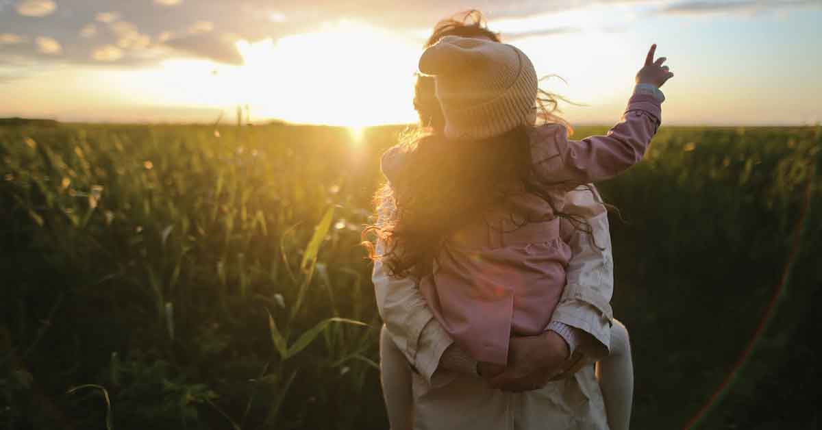 Tips for Preparing for Summer on the Homestead: 2025 Edition ...
