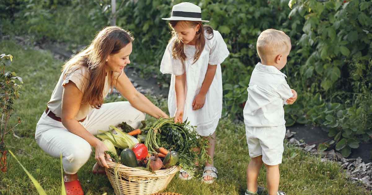 Homestead Living - Homesteading Simple