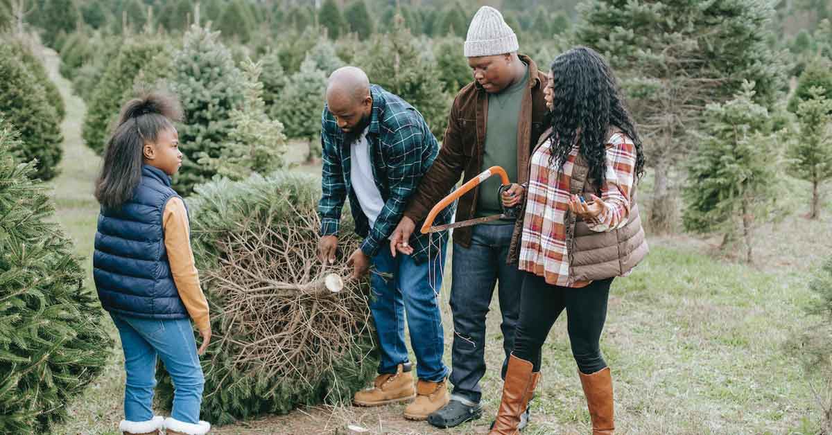 Preparing for Winter on the Homestead: 2025 Edition - Homesteading Simple
