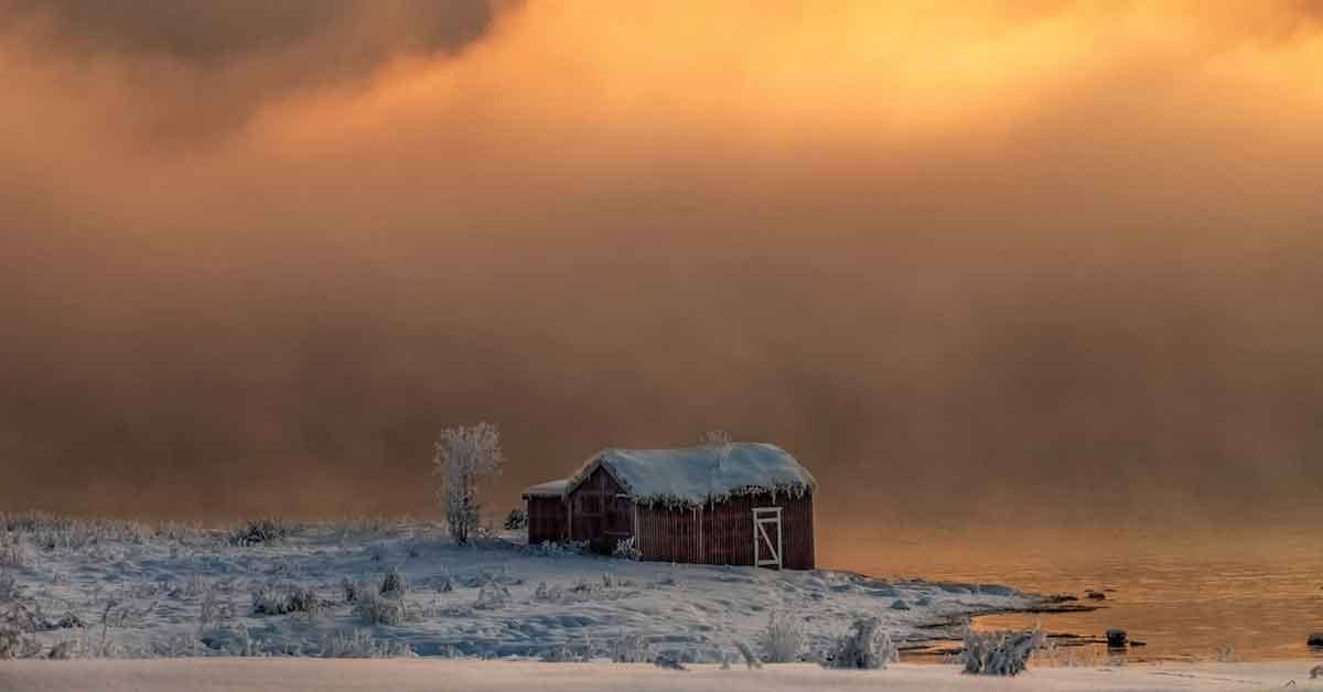 Homestead Living - Homesteading Simple