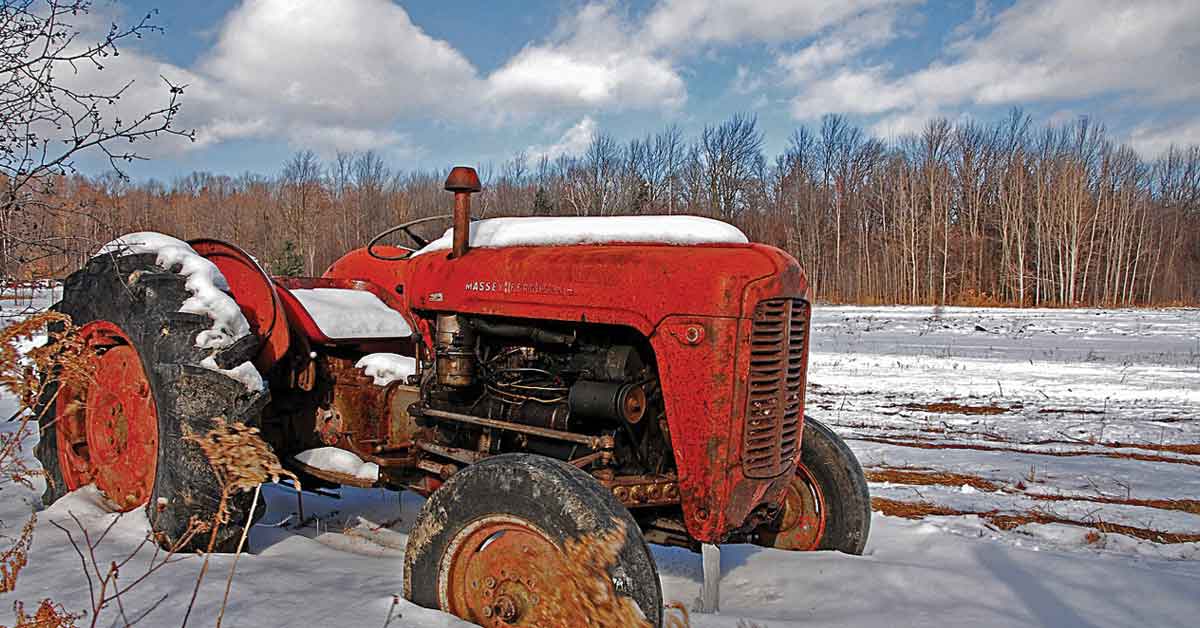 Homestead Winter Activities: 15 Essential Tips to Embrace the Cold and ...