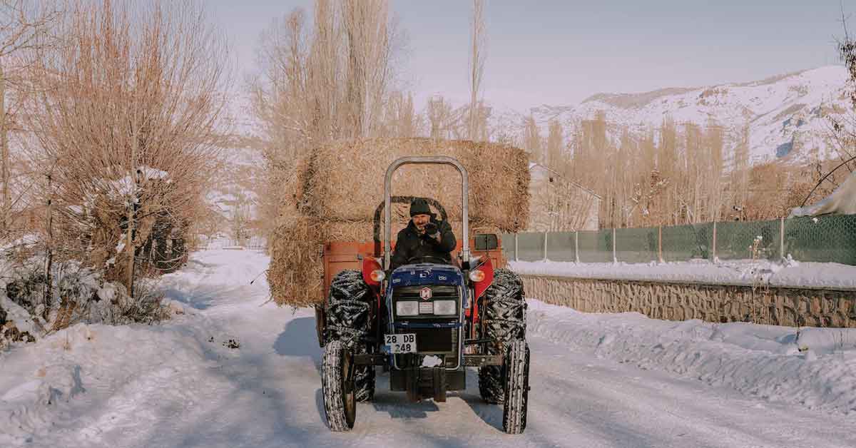 Homestead Winter Activities: 15 Essential Tips to Embrace the Cold and ...