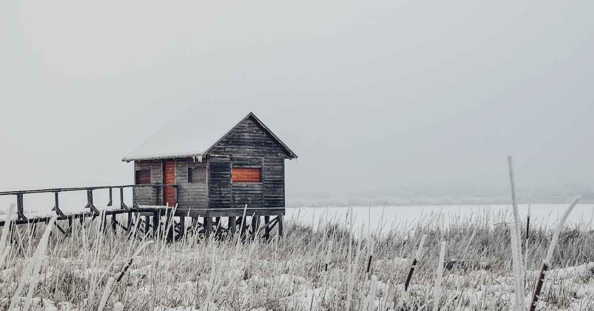 Winter Livestock Care: Ensuring Comfort for Animals in 2025 ...