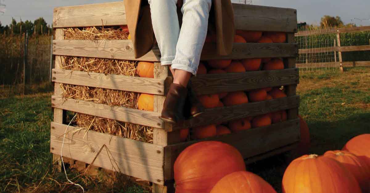 DIY Gourd Seed Storage: Creative Solutions for Preserving Seeds in 2025 ...