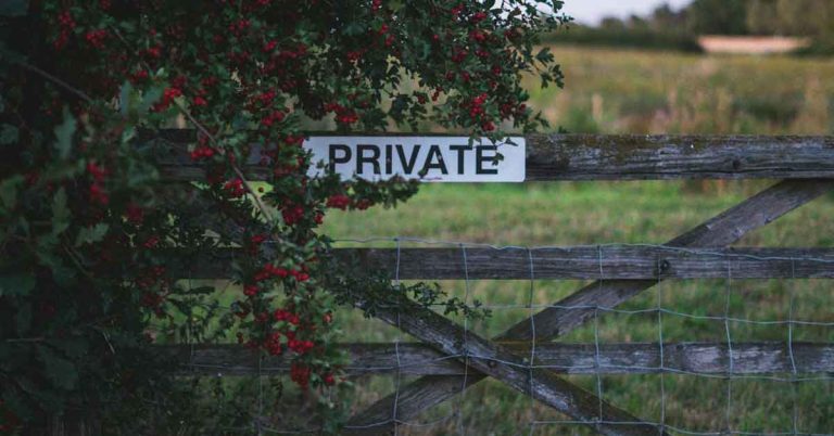 Homesteading In Canada Thriving North For Year Round Abundance 2025