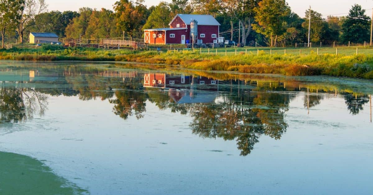 Homesteading in Oregon: The Ultimate Guide to Thriving in the Beaver ...