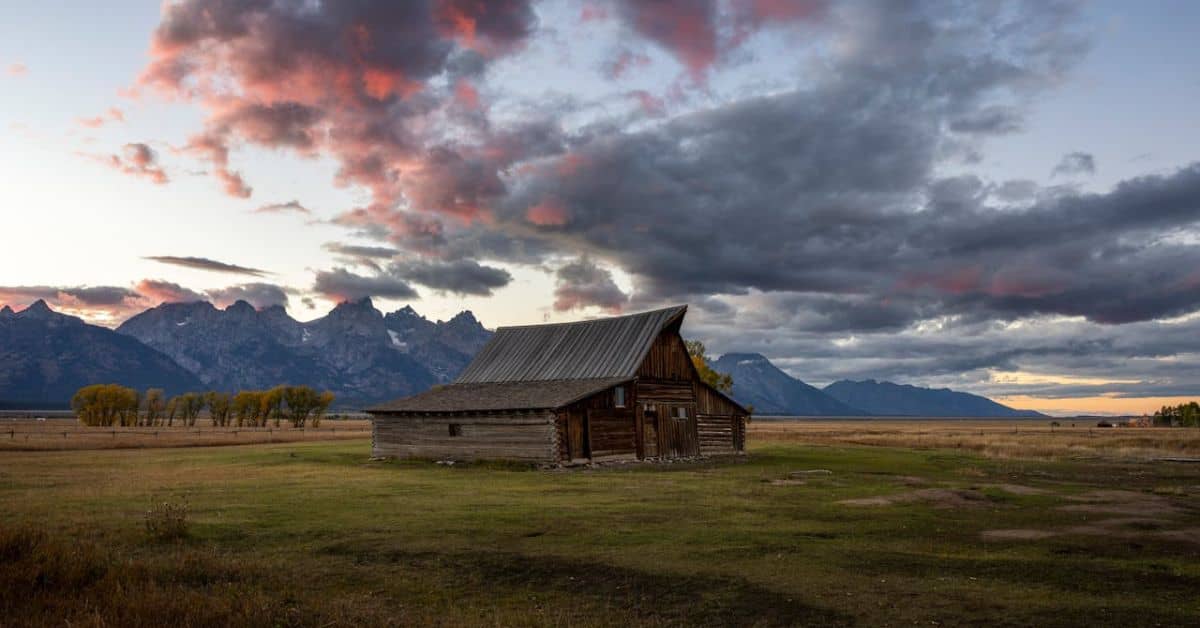 How to Start a Homestead in 2025: Beginner's Guide - Homesteading Simple